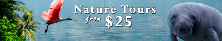 Fishing Charters - inshore saltwater fishing and nature tours with Cast ...